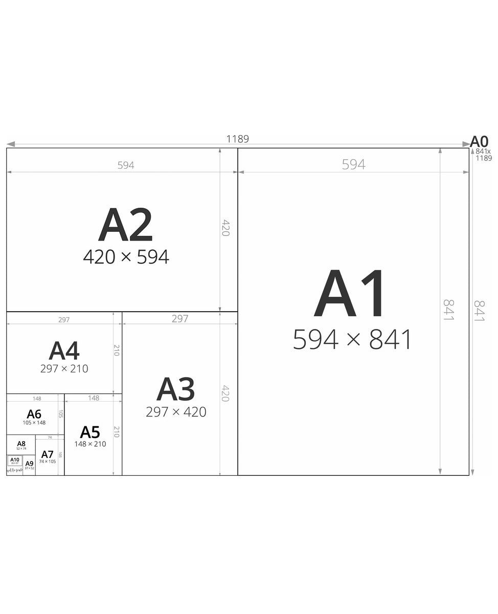 AUSTRALIAN POSSUM PRINT – Emily Ingham Art
